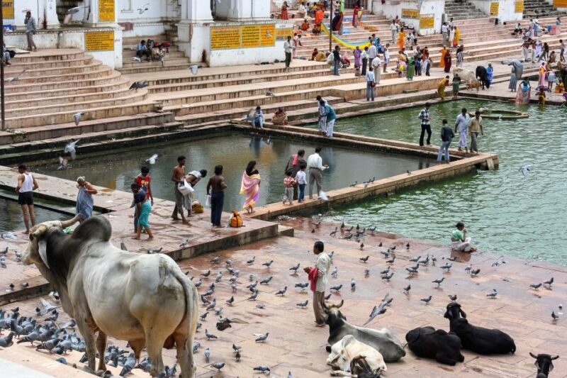 A Day Trip of Pushkar From Jaipur - The Journey Begins: How the Tour Unfolds
