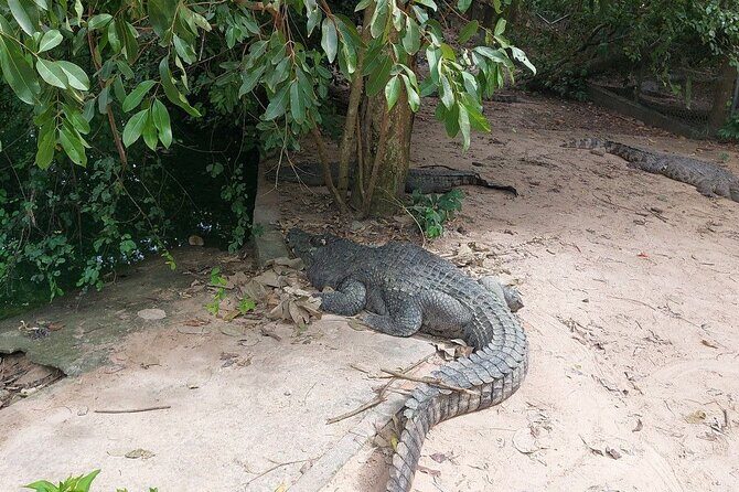 A Day Trip To Phnom Chisor - Tonle Batti From Phnom Penh - Final Thoughts