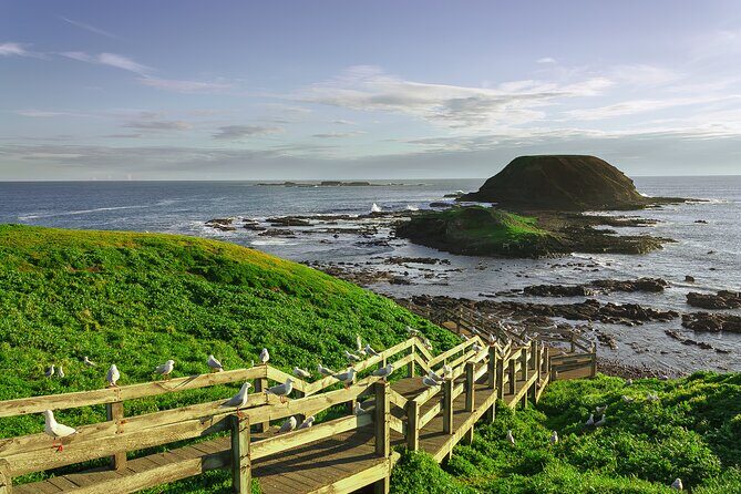 A Day with Penguins & Kangaroos: Small group Phillip Island Tour - Summary: Is It Worth It?