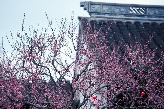A Deep Dive into Nanxiang Xiaolongbao Culture - Practical Details and What Makes It Worth It