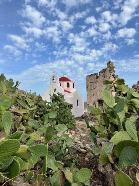 A Discovery Tour in Mykonos - Final Thoughts: Who Should Consider This Tour?