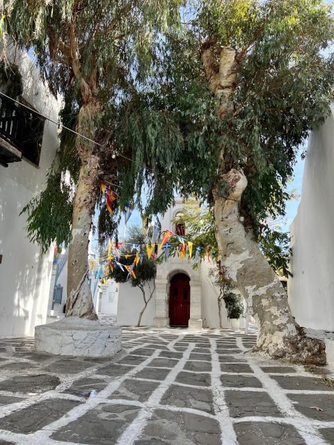 A Discovery Tour in Mykonos - FAQ
