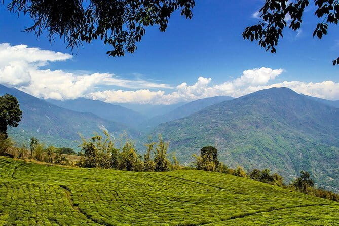 A Full Day Tour Of Darjeeling - Discovering Darjeeling in a Day: What to Expect