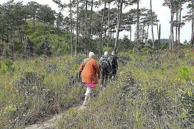 A full day trip From Nha Trang To Da Lat Or Vice Versa - Who Should Consider This Tour?