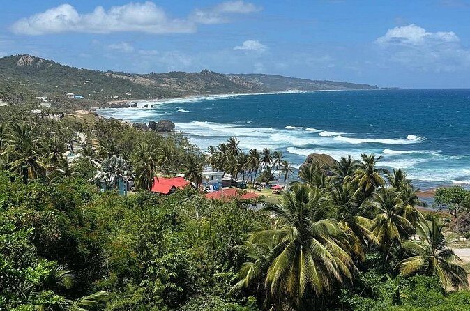 A Good Bajan Day - Bestselling Barbados Highlights Tour - The Value of Expert Guides and Authentic Insights