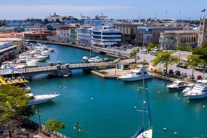 A Good Bajan Day - Bestselling Barbados Highlights Tour - Timing and Pacing: Is It Right for You?