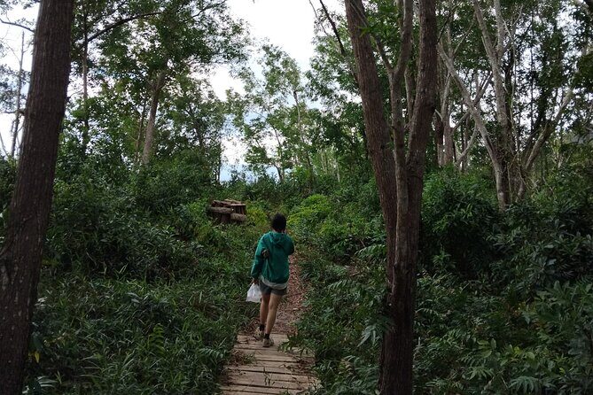 A Half Day Tour - Authentic Nature Tour - Discovering Phu Quoc’s Hidden Gems