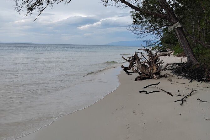 A Half Day Tour - Authentic Nature Tour - Local Flavors in a Fishing Village