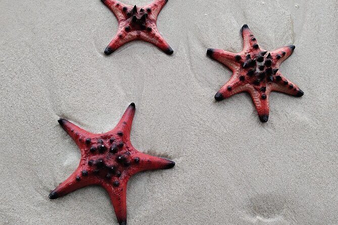 A Half Day Tour - Authentic Nature Tour - The Sum Up