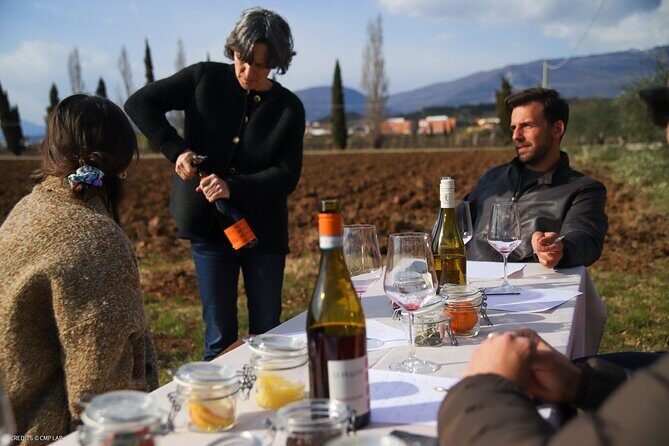 A Journey Into Wines Tastes and Aromas - What Recent Guests Say
