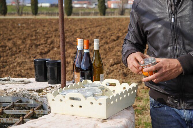 A Journey Into Wines Tastes and Aromas - Final Thoughts: Who Will Love This Tour?