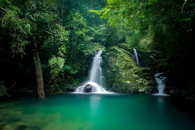 A Journey to Nam O Fish Sauce Village & Bach Ma National Park - Authentic Experiences and Cultural Value