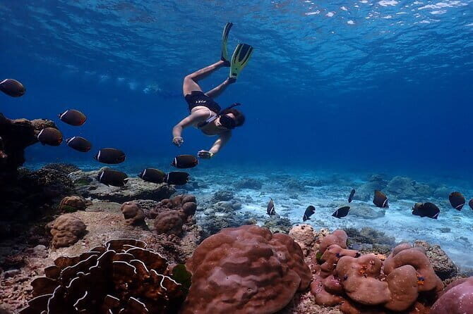 A Koh Lipe Snorkeling Tour - The Sum Up: Who Is This Tour Perfect For?