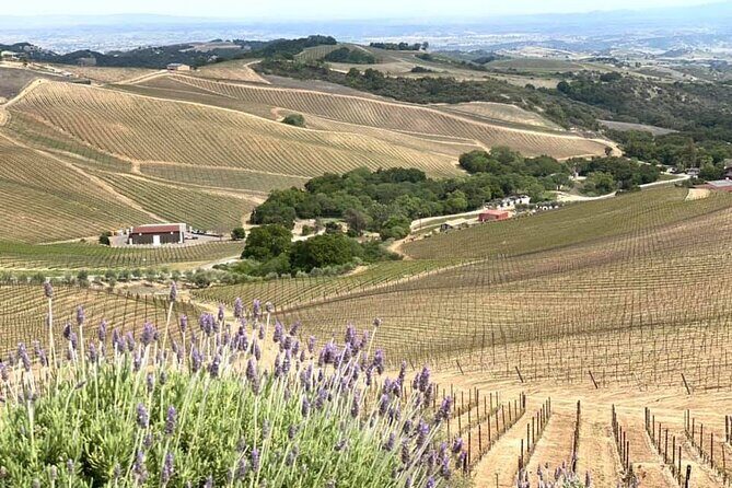 A La La Tour - Private Tour of California's Central Coast - Final Thoughts