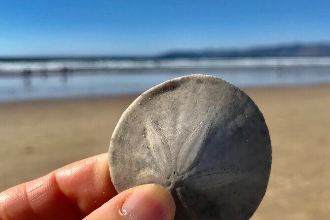 A La La Tour - Private Tour of California's Central Coast - FAQ
