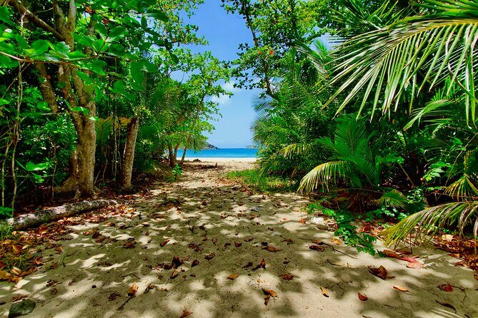 A Little Bit Of Everything Tour & Beach with Rum Punch (Private) - Key Points