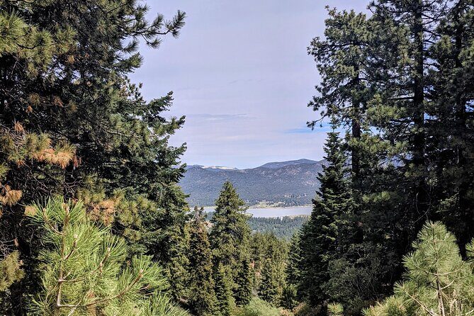 A Local's Favorite Hike in Big Bear with Lake Swimming Experience - FAQs