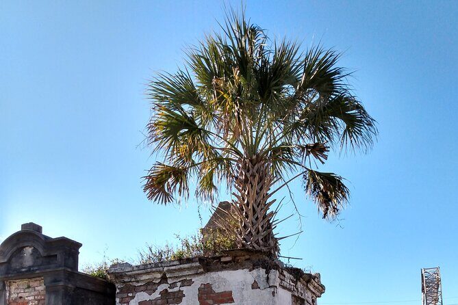 A Local's Garden District Tour - Starting at the Mississippi River