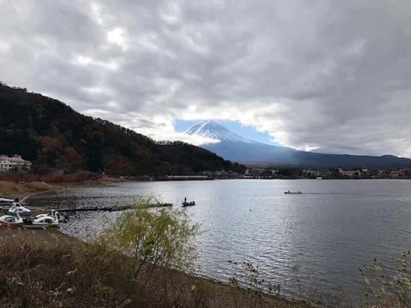 A Nature Escape to Fuji and Lake Kawaguchiko Guided Tour - In-Depth Look at the Tour