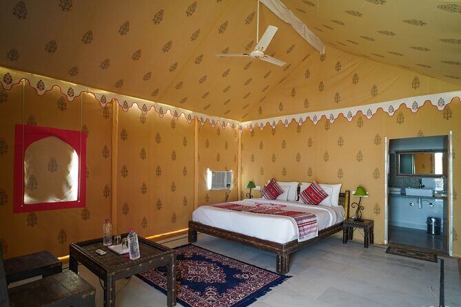 A Night in Thar Desert  Unforgettable Luxury Camel Safari - An In-Depth Look at the Tour Experience