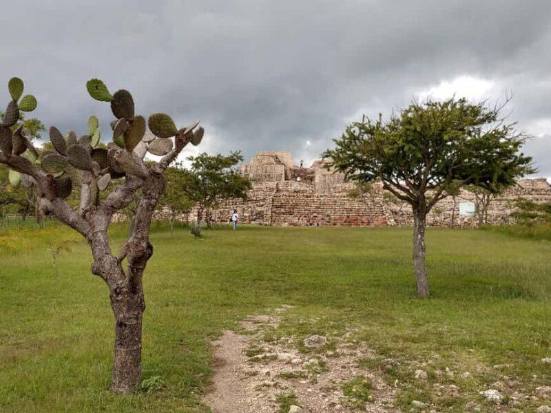A NOT crowded tour to Cañada de la Virgen - FAQ