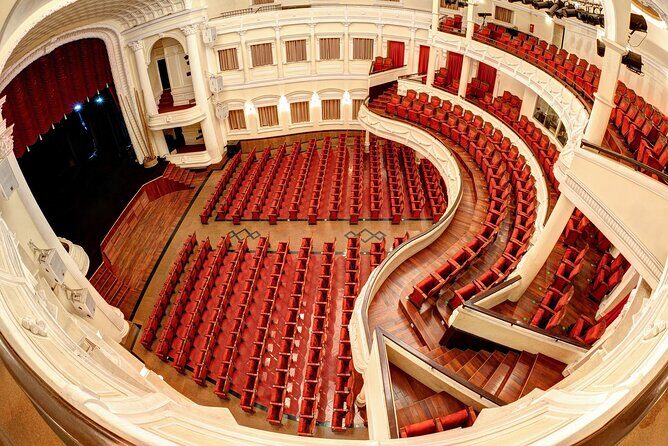 A O Show - Included: Tour guide, Car Pick Up And Drop Off - The Performers and Artistic Style