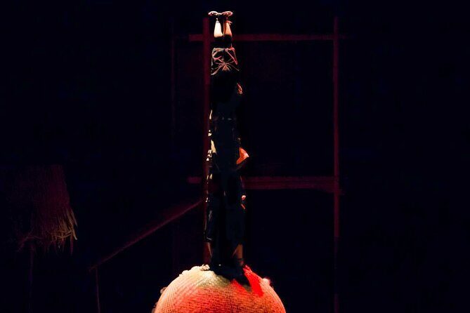 A O Show - Included: Tour guide, Car Pick Up And Drop Off - Unique Aspects and Highlights