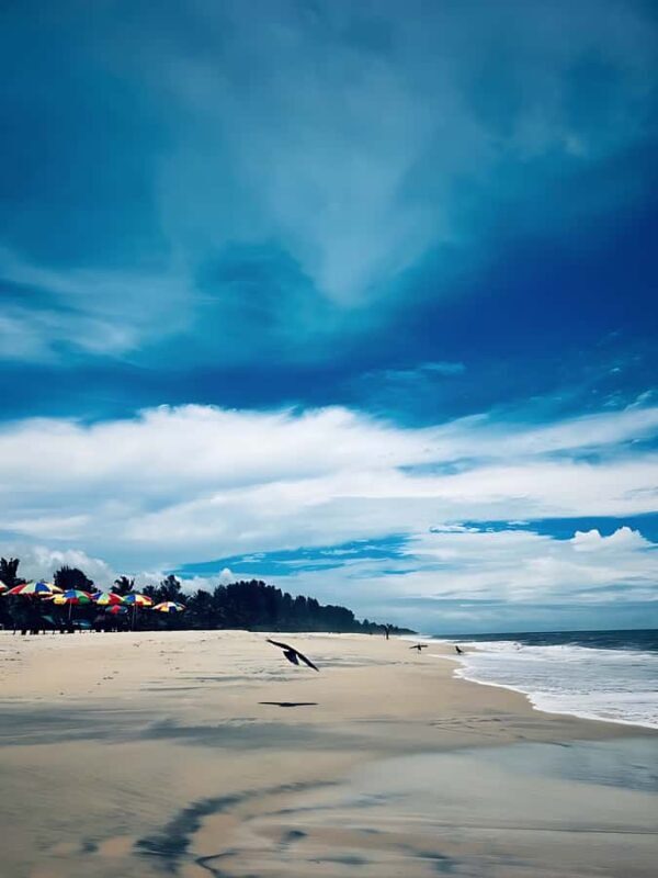 A Private day Tour Through Alleppey, Marari, and Fort Kochi - Who Will Love This Tour?