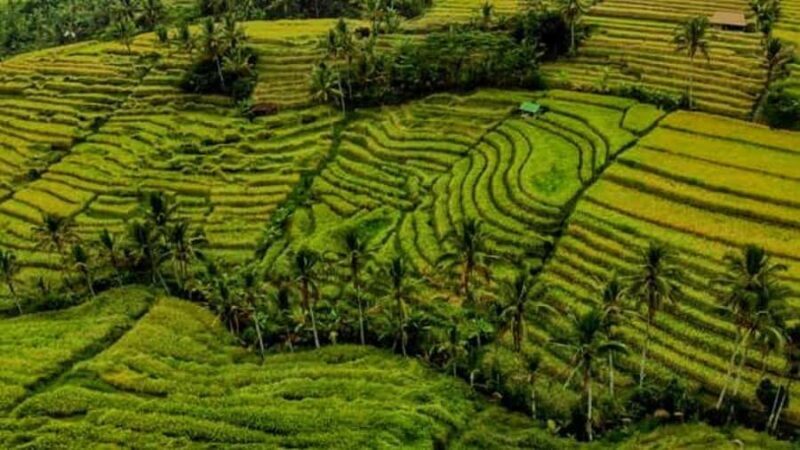 A Private Day Tour To Explore North Part of Bali - Practical Details and What Makes This Tour a Good Deal