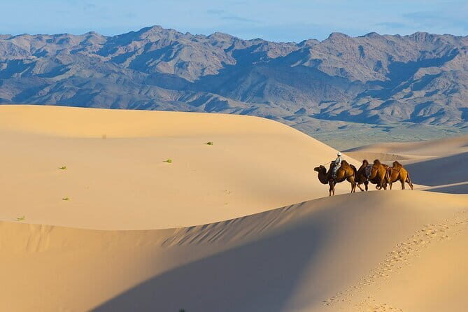 A Private Tour to Central Mongolia - Final Thoughts on Value and Experience