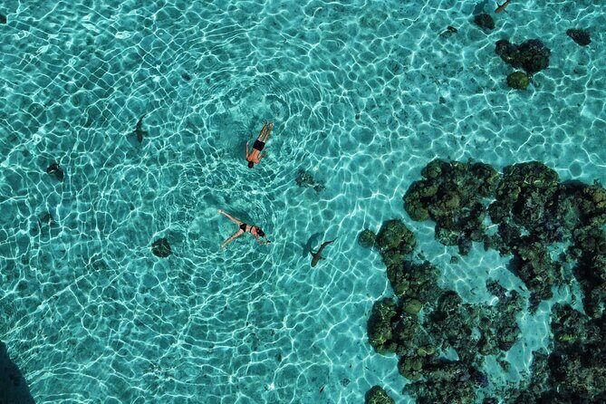 A private tour with Blue Lagoon - Final Thoughts: Why Choose This Tour?