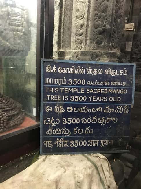 A Private Trip to Kanchipuram & Mahabalipuram from Chennai - A Practical Guide to the Private Trip from Chennai to Kanchipuram & Mahabalipuram