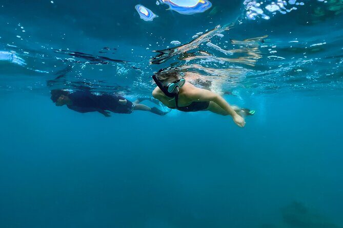 A Private TURTLE Tour on Rarotonga with Photography and Transfers - Detailed Breakdown of the Tour