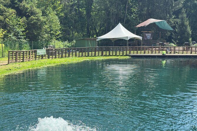 A Relaxing Day of Fishing and Fresh BBQ - The Fishing Experience: Simple, Fun, and Rewarding