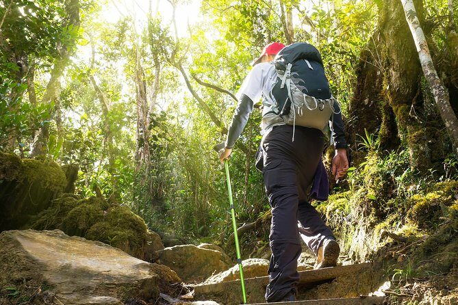 A Rendezvous with Nature - Templer Park and Kanching Waterfall Tour - An Honest Look at the Tour Itinerary