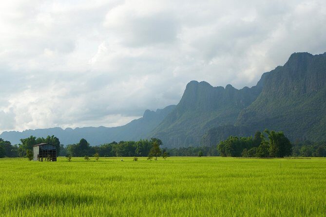 A Rice Journey in Luang Prabang - Overview of the Experience