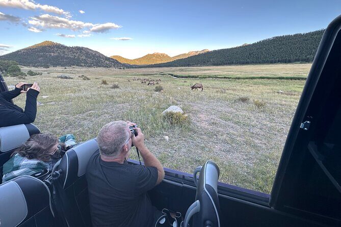 A Rutin' Good Time; Elk Tour in Rocky Mountain National Park - Introducing the Tour Experience