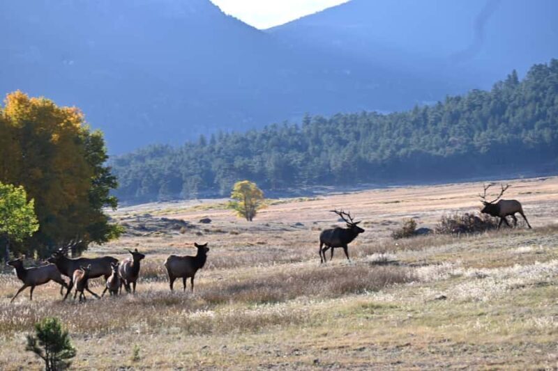 A Ruttin' Good Time - Who Should Consider This Tour?