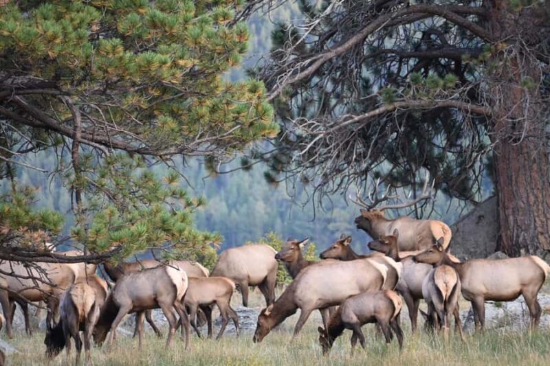 A Ruttin' Good Time - Final Thoughts