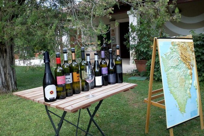 A Sample Of Wine, A Sample Of Istria - A Short But Fulfilled Program - Uncovering the Flavors of Istria: A Practical Look at the “A Sample Of Wine, A Sample Of Istria” Tour