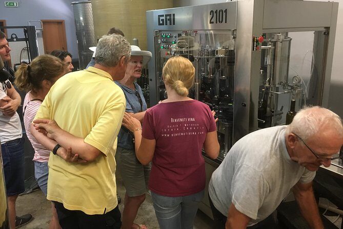 A Sample Of Wine, A Sample Of Istria - A Short But Fulfilled Program - The Sum Up