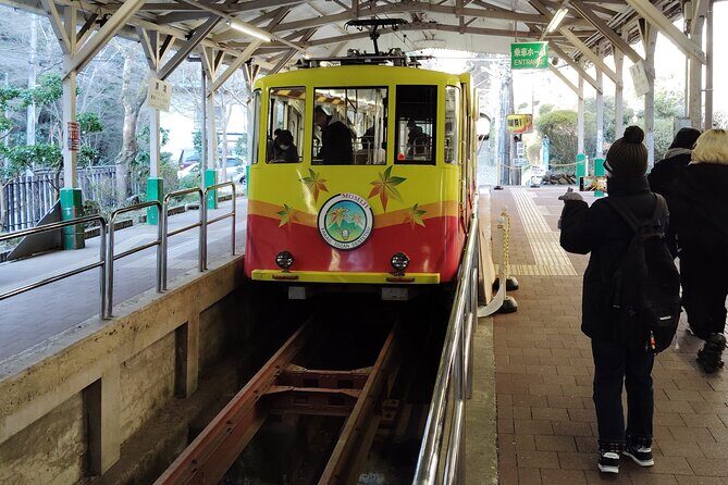 A Scenic Private Tour in Mount Takao Tokyo - The Experience: What Travelers Can Expect