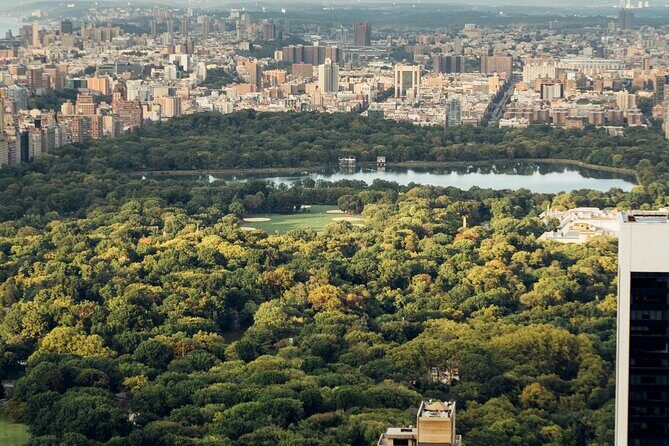 A Scenic Walking in Tour Central Park - Key Points