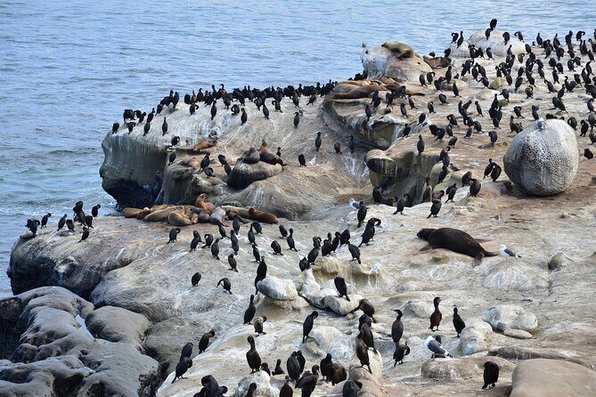 A Seaside Stroll: La Jolla's Hidden Treasures Self-Guided Tour - Exploring Local History and Art