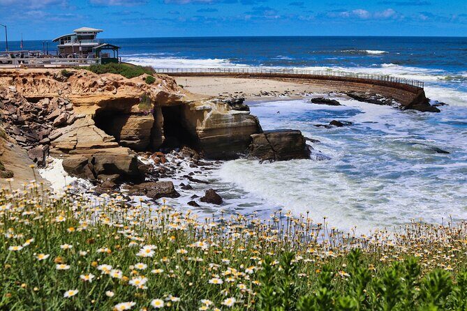 A Seaside Stroll: La Jolla's Hidden Treasures Self-Guided Tour - What Reviewers Say