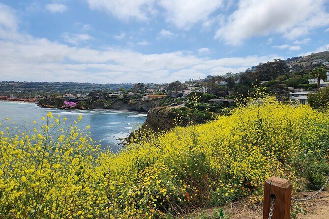 A Seaside Stroll: La Jolla's Hidden Treasures Self-Guided Tour - The Experience for Different Travelers