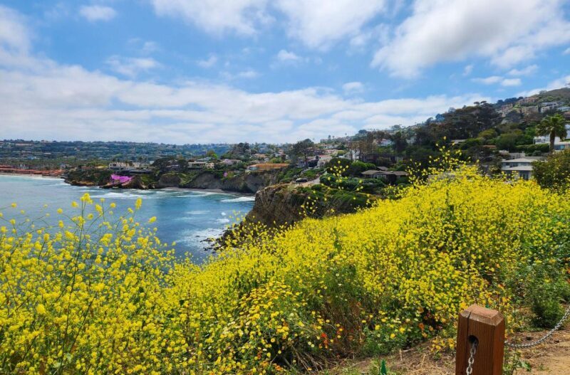 A Seaside Stroll: La Jolla's Hidden Treasures Walking Tour - Frequently Asked Questions