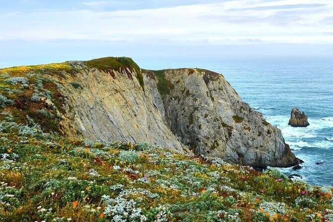 A Self-Guided Audio Tour Around Bodega Head - A Wild Coast with Stories and Scenic Views