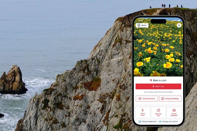 A Self-Guided Audio Tour Around Bodega Head - The Itinerary Breakdown: What You Can Expect