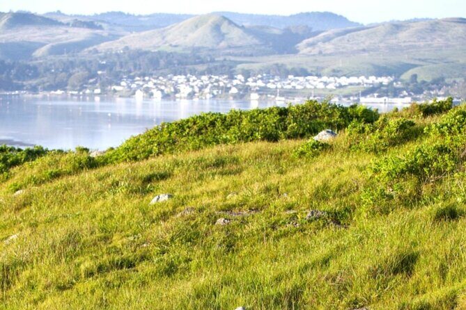 A Self-Guided Audio Tour Around Bodega Head - Who Will Appreciate This Tour?